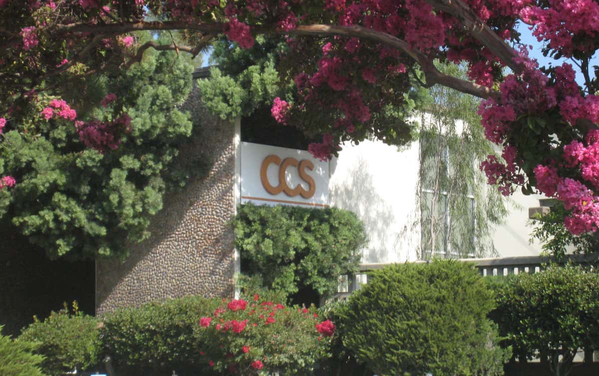 CCS 2020 Year In Review | CCSDualSnap